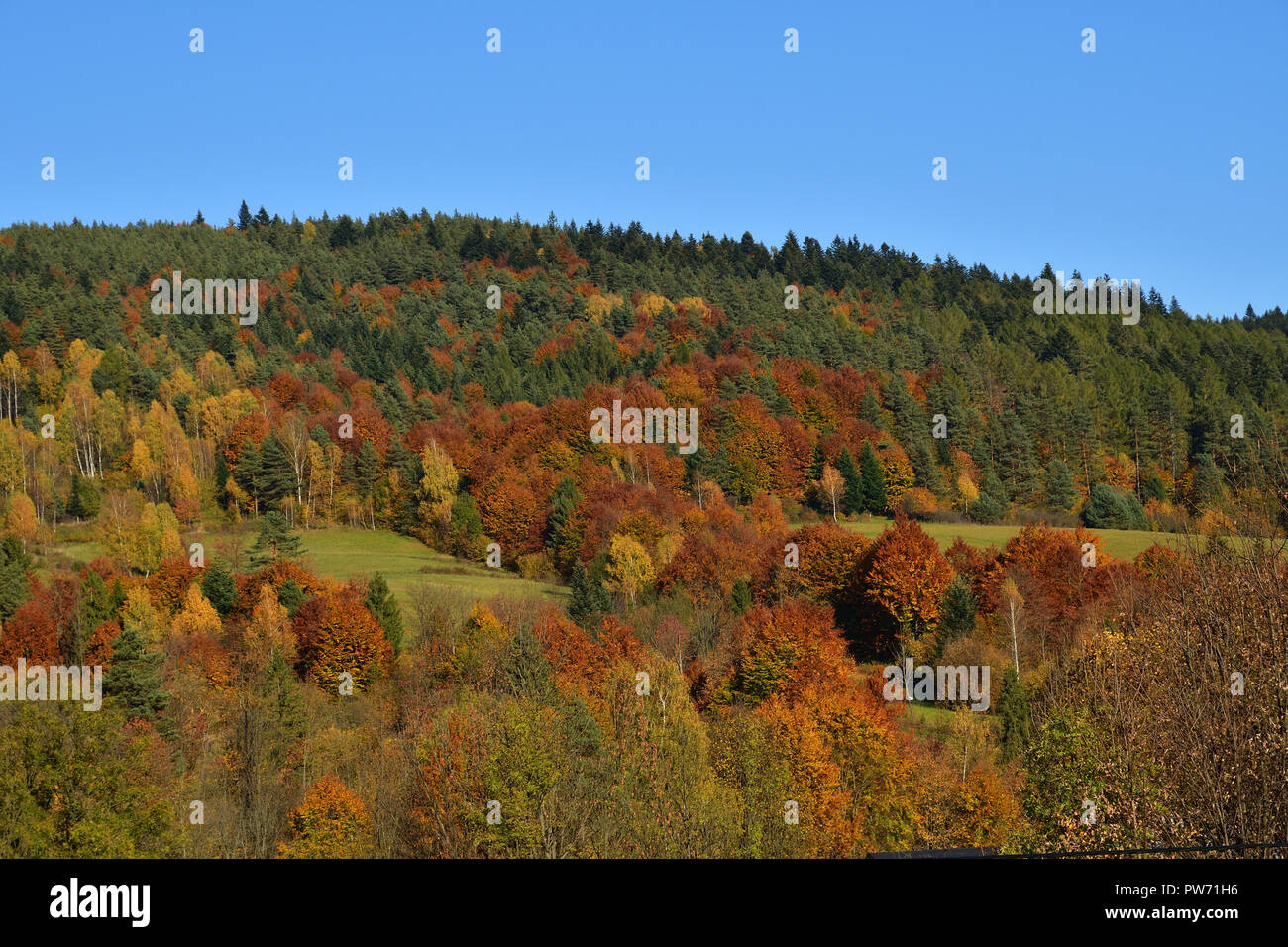 beautiful colorful autumn view from above beautiful colorful autumn ...
