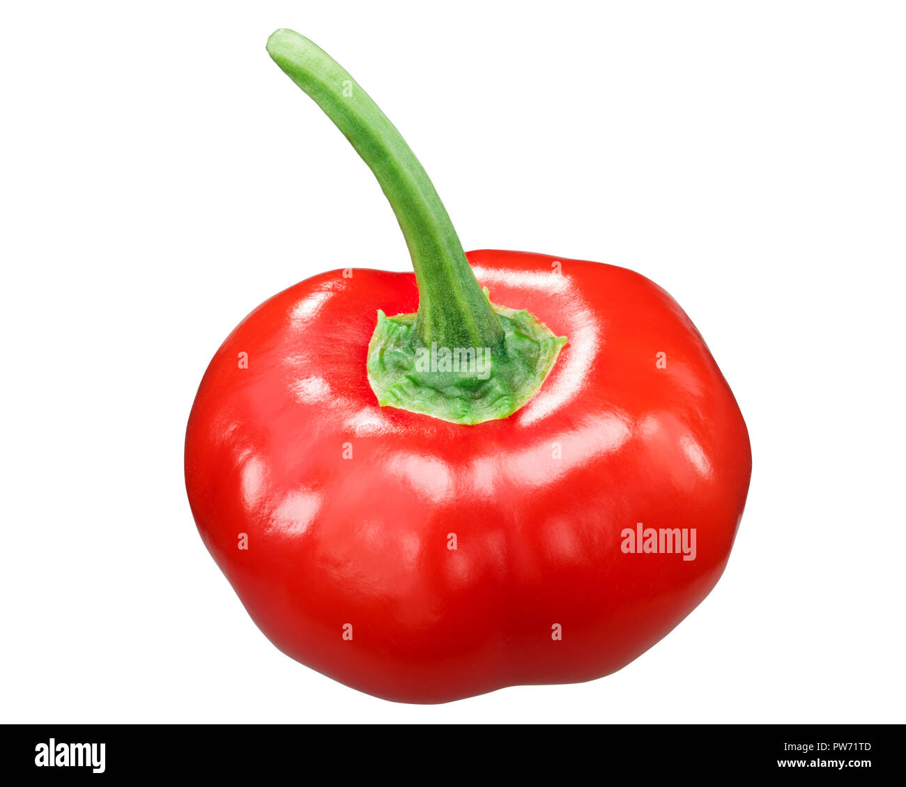 Capsicum Baccatum Stock Photos & Capsicum Baccatum Stock Images - Alamy