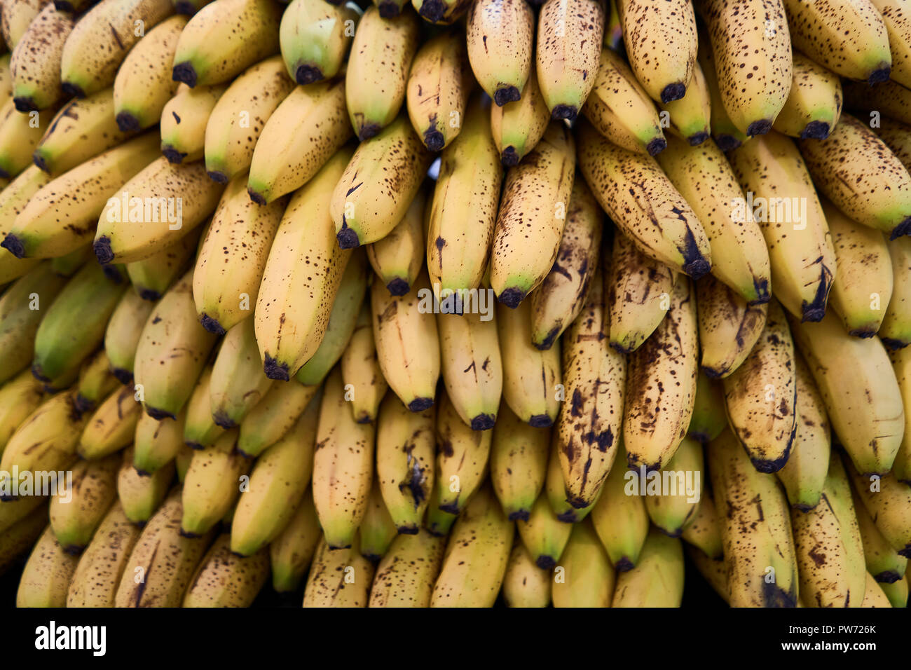 group of bananas Stock Photo - Alamy