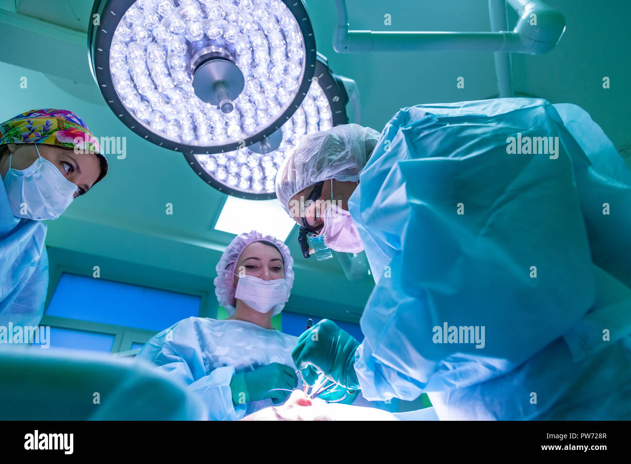 Surgeon and his assistant performing cosmetic surgery on nose in ...