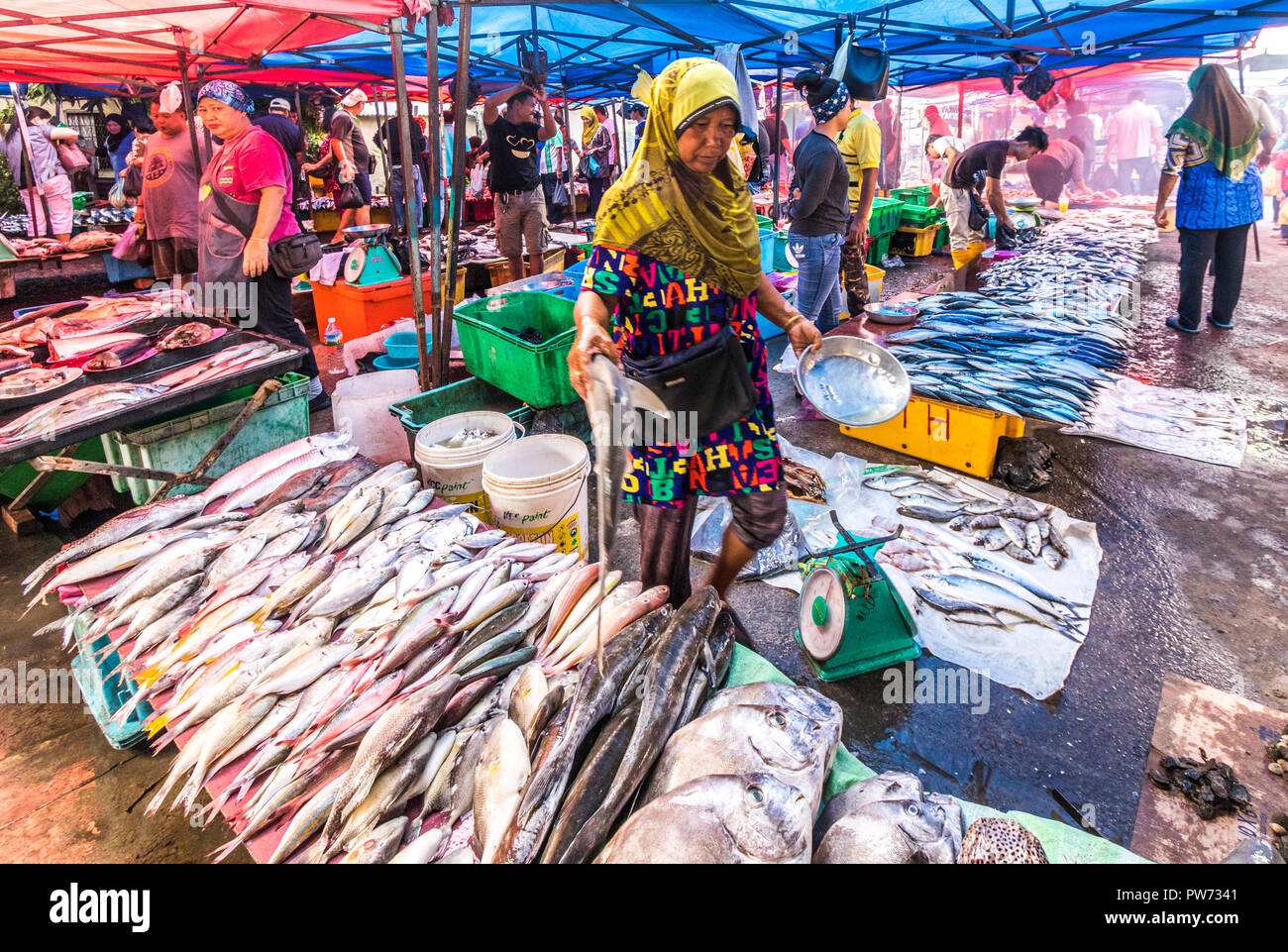 Papar hi-res stock photography and images - Alamy