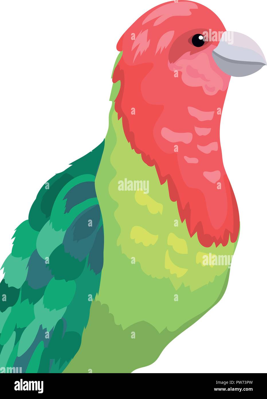 Exotic bird cartoon Stock Vector Image & Art - Alamy