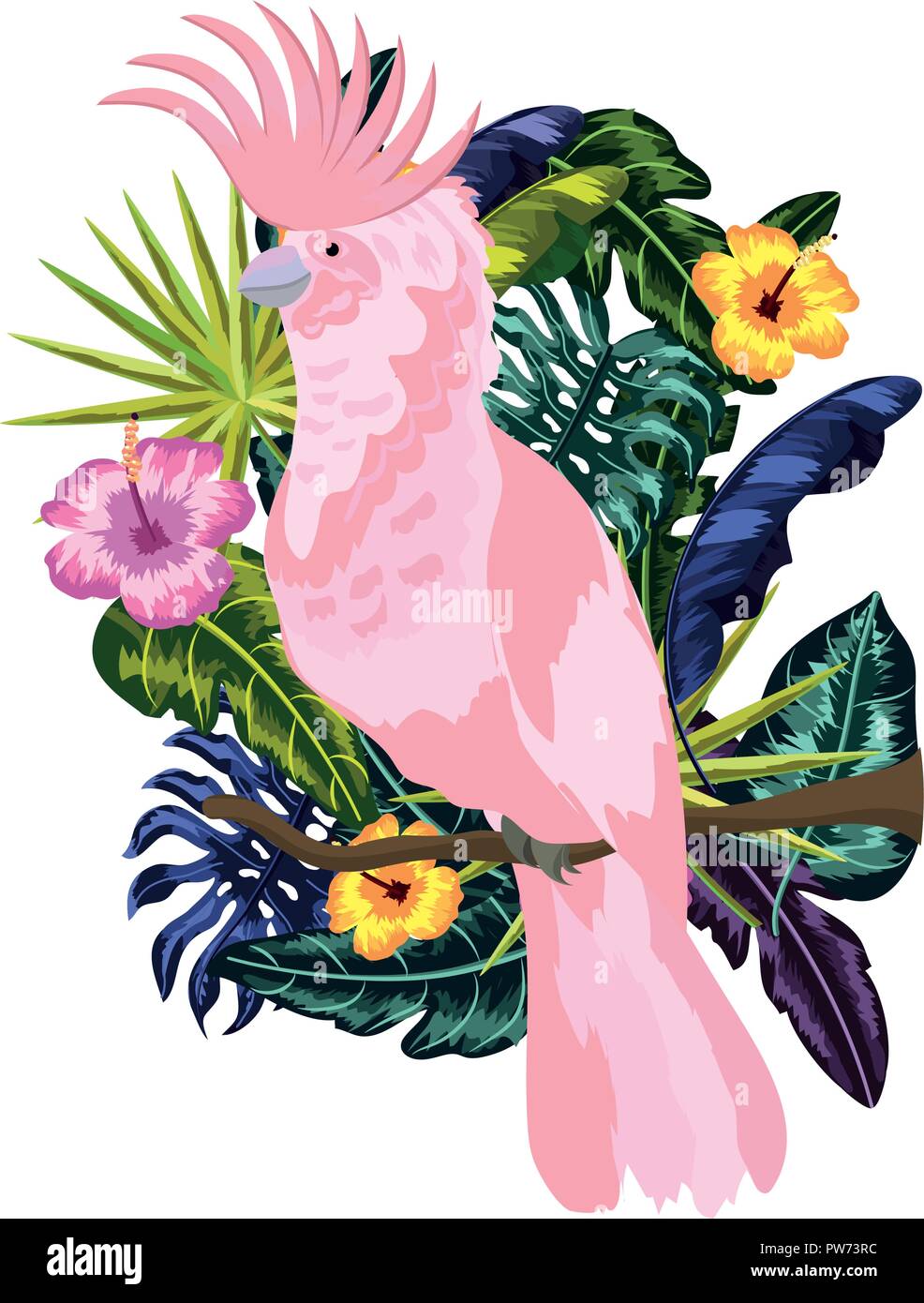 Exotic And Tropical Bird Stock Vector Image And Art Alamy