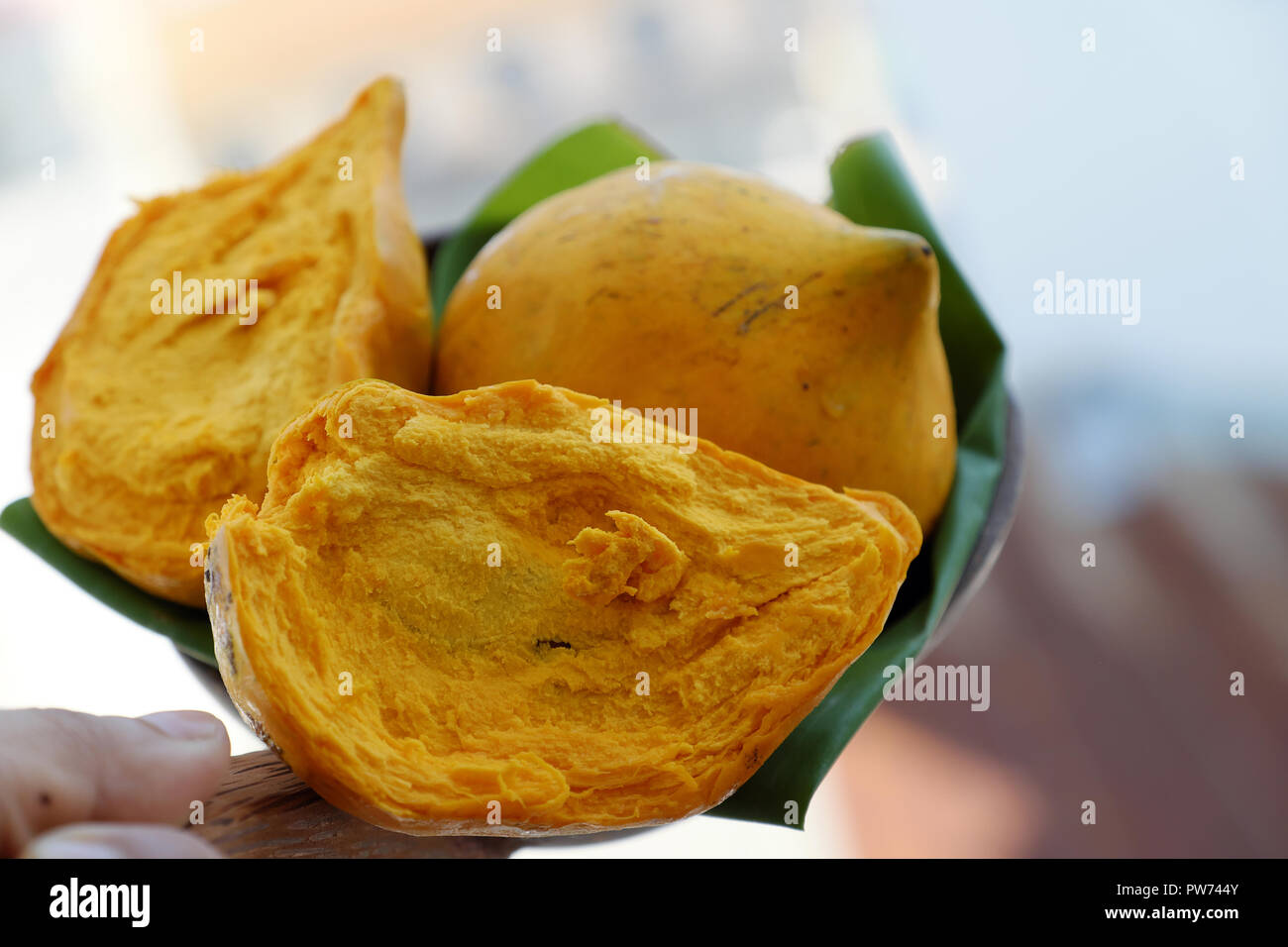Close up of yellow canistel fruit on green background, also name egg ...