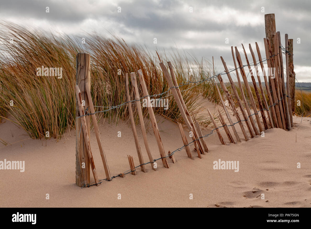 Fence on beach sand dune hi-res stock photography and images - Alamy