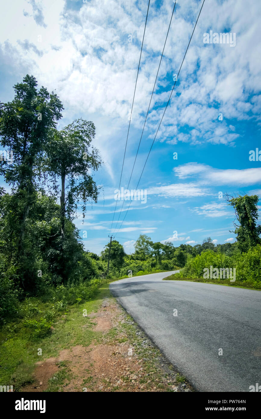 Road through green rain forest Stock Photo - Alamy