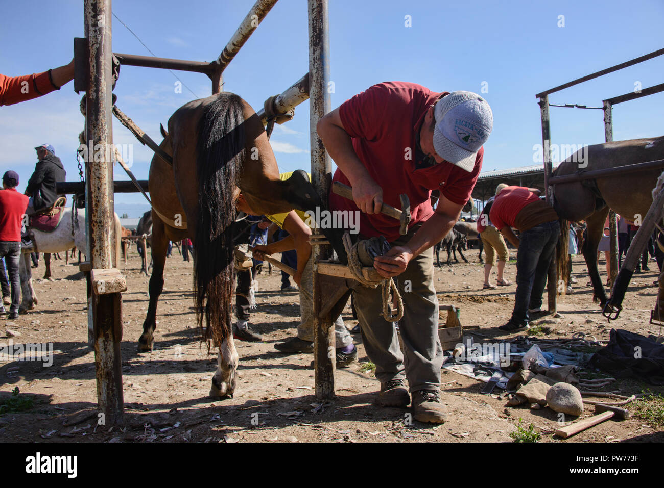 Mal Bazaar (мал базары)/ animal market bazaar in Karakol, Kyrgyzstan ...