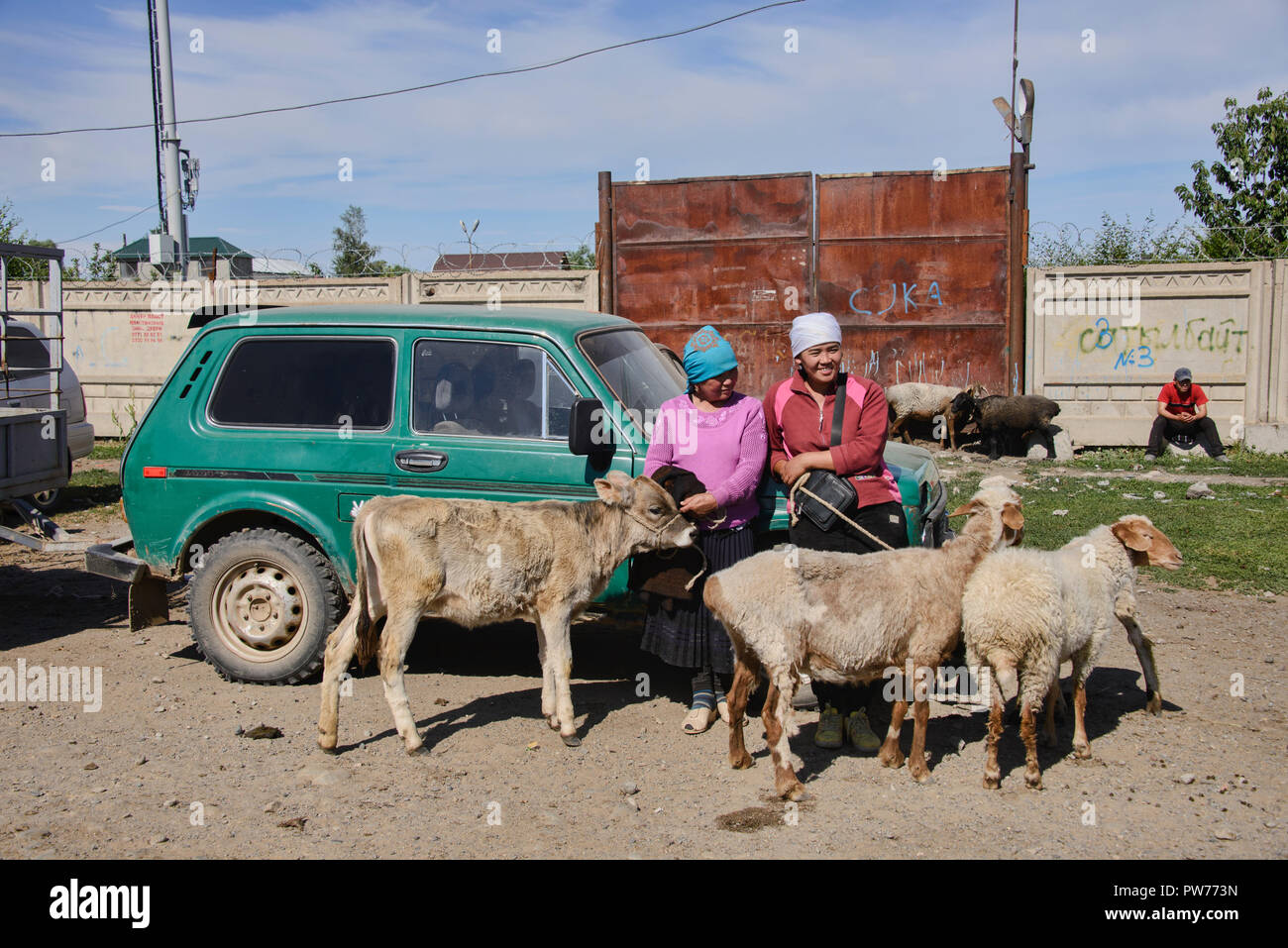 Sunday animal hi-res stock photography and images - Alamy