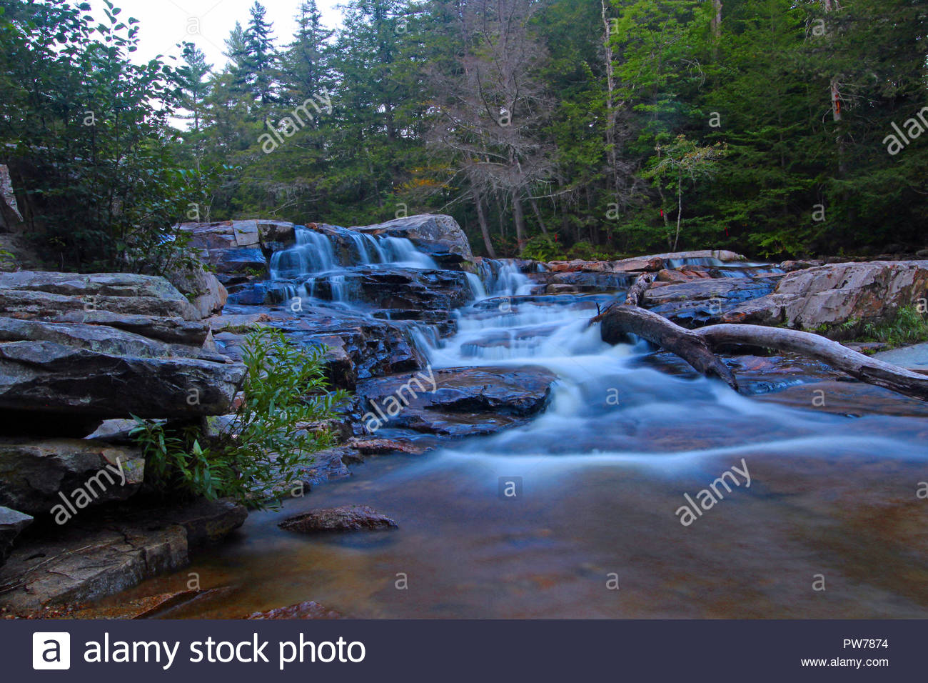 Carter Jackson High Resolution Stock Photography and Images - Alamy