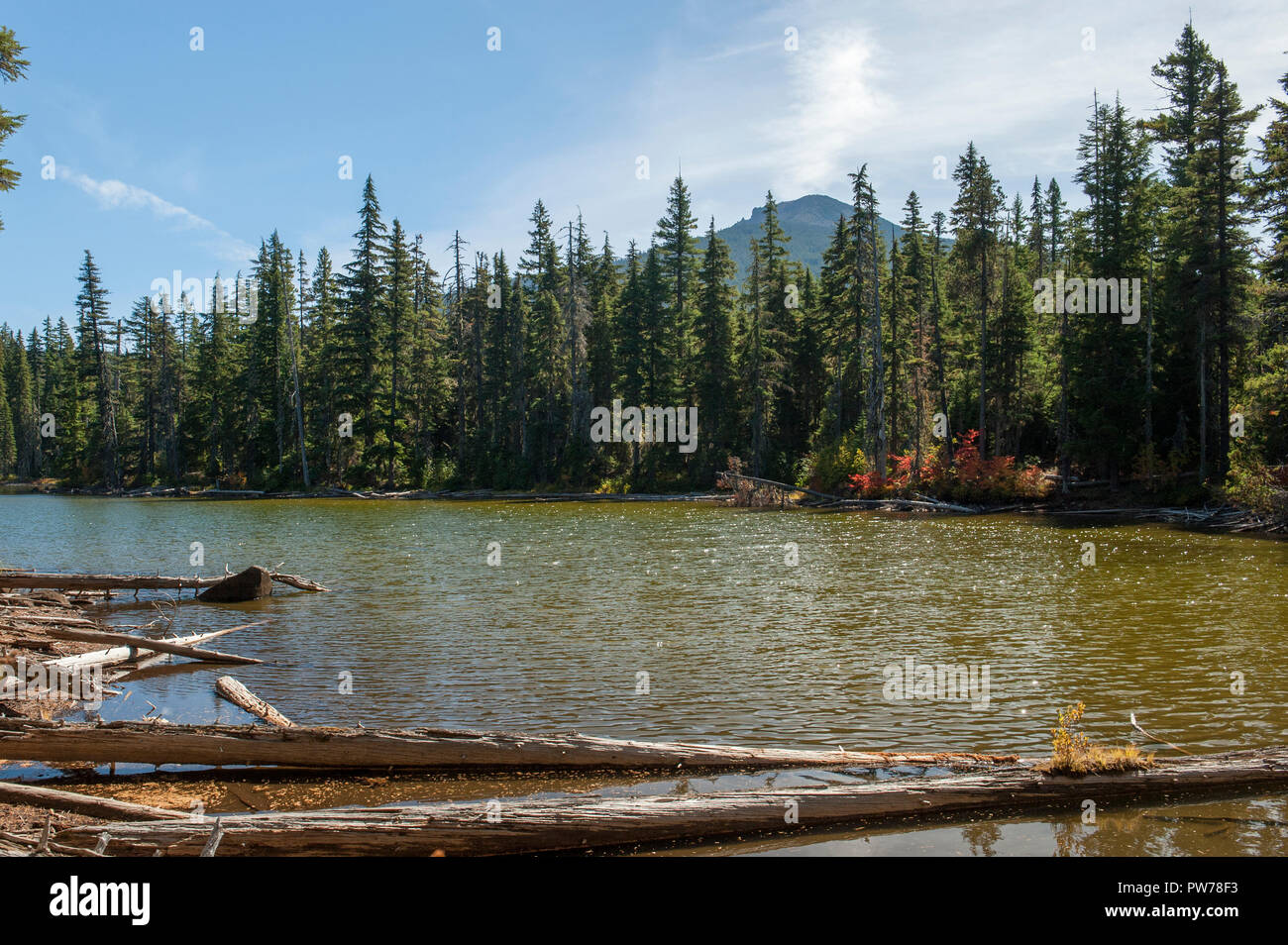 From the trail by the lake hi-res stock photography and images - Alamy