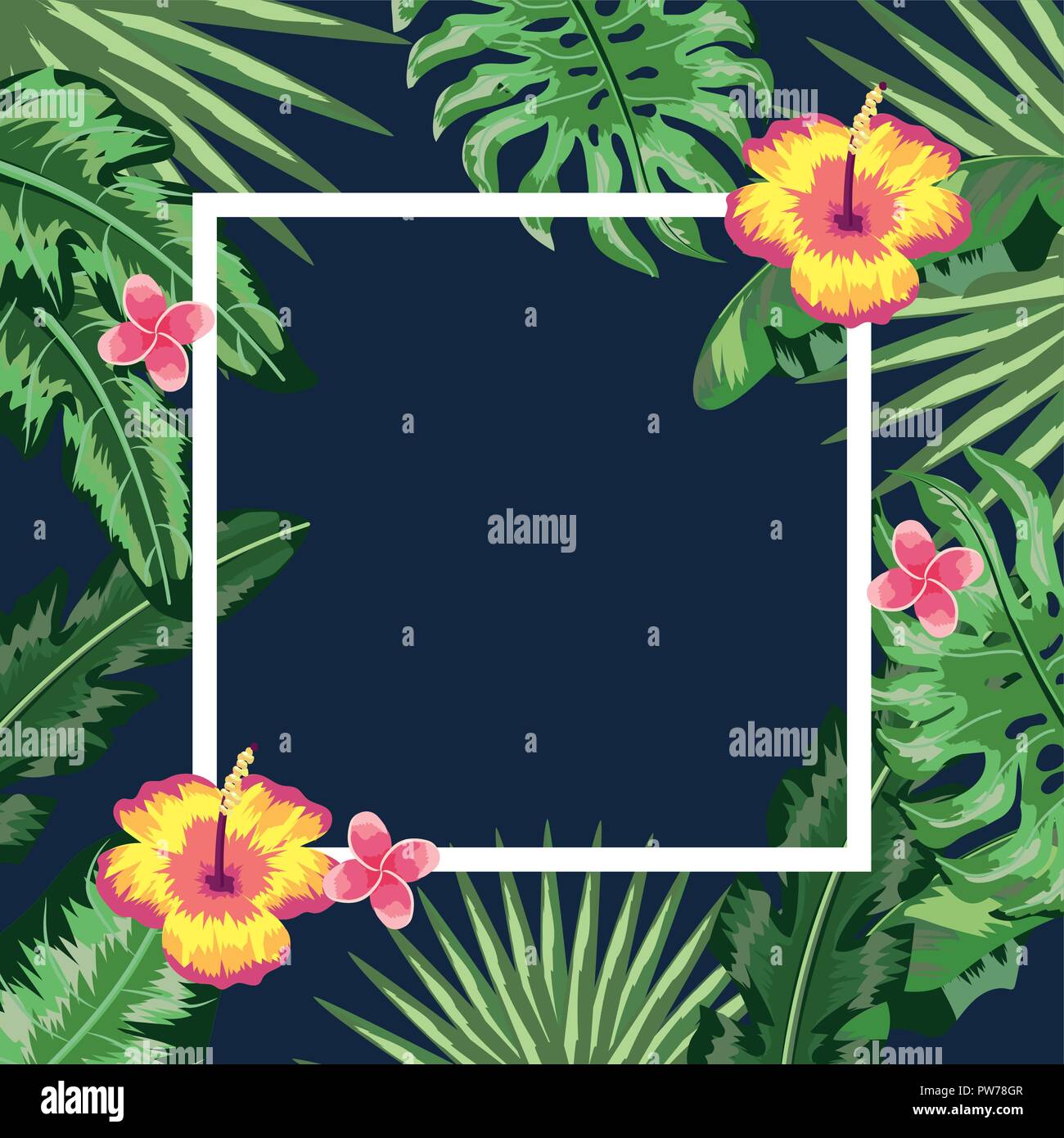 square frame with flowers and plants background Stock Vector Image ...