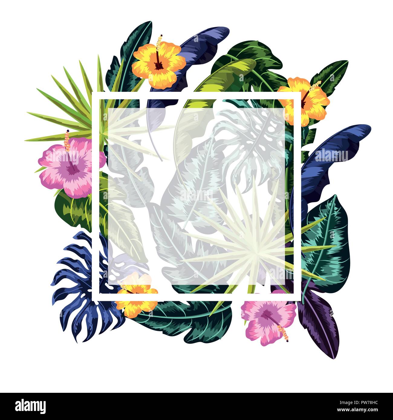 square frame with flowers plants background Stock Vector Image & Art ...