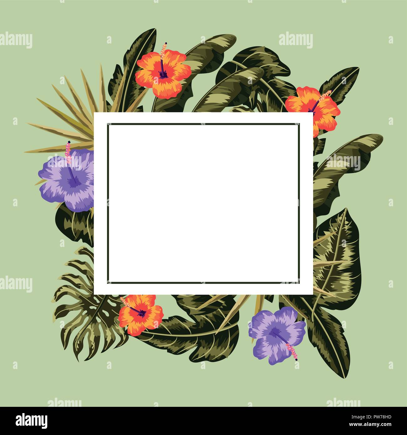 square frame with flowers plants decoration Stock Vector Image & Art ...