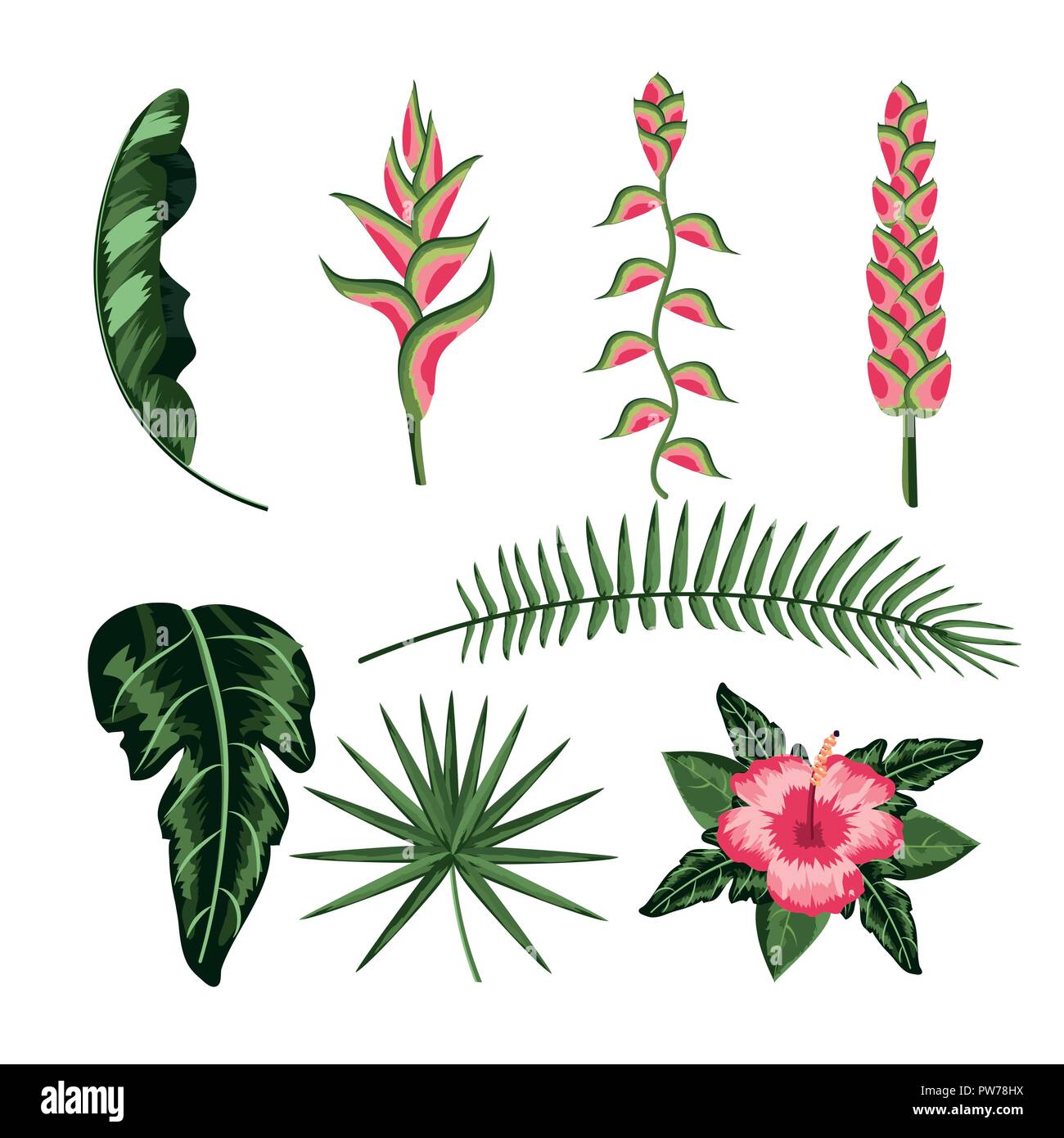 Botanic flowers plants branches Cut Out Stock Images & Pictures - Alamy