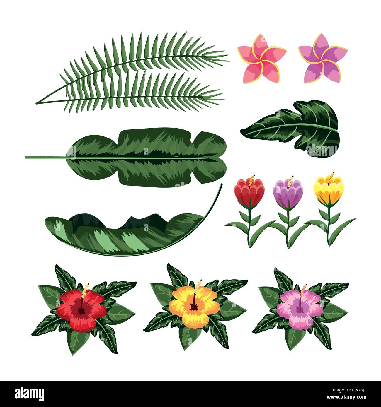 Botanic flowers plants branches Cut Out Stock Images & Pictures - Alamy