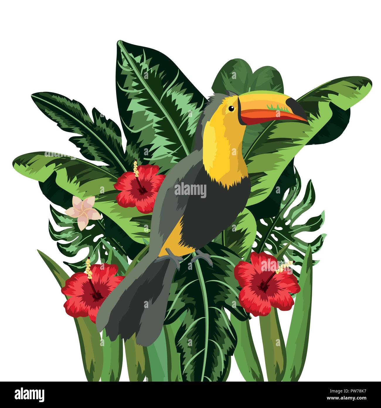 toucan with flowers and tropical leaves plants background Stock Vector ...