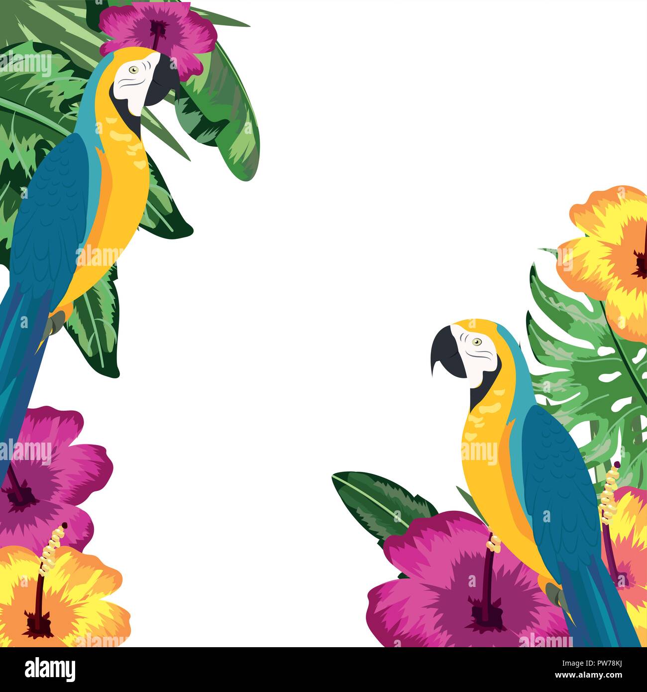 macaw parrot with flowers and leaves background Stock Vector Image ...