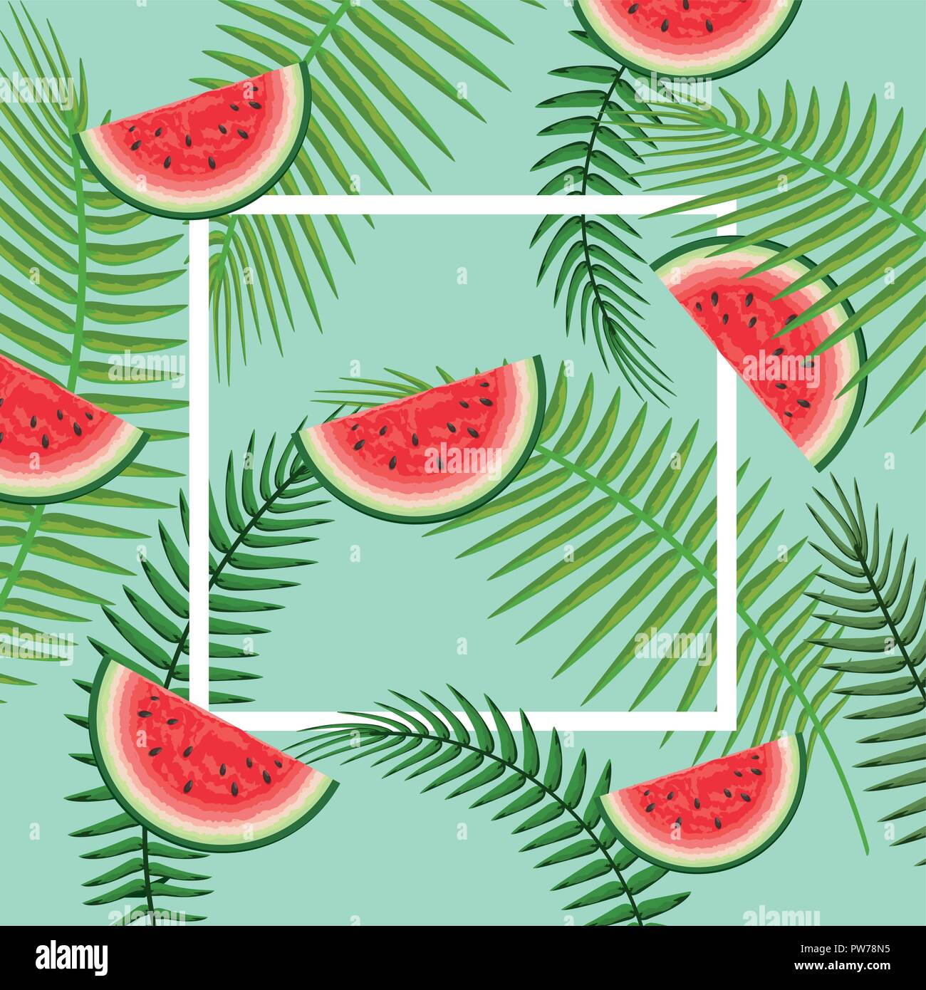 square frame with watermelon and branches leaves Stock Vector Image ...