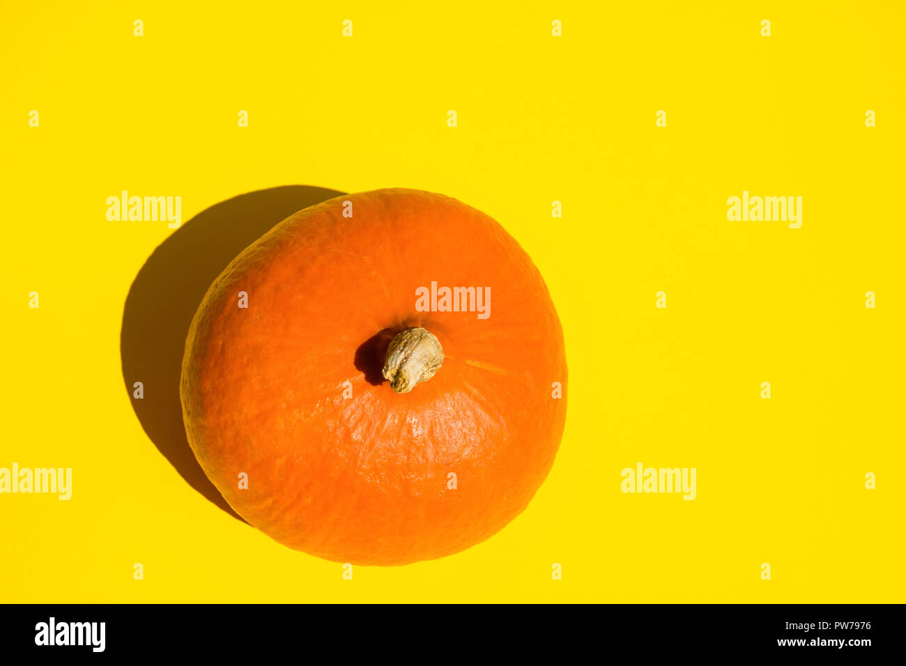 Bright orange hokkaido pumpkin dry maple leaf on solid yellow ...