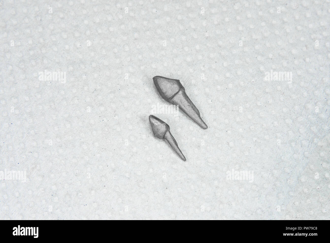 close-up human tooth together with a pin, is prepared by a bur under ...