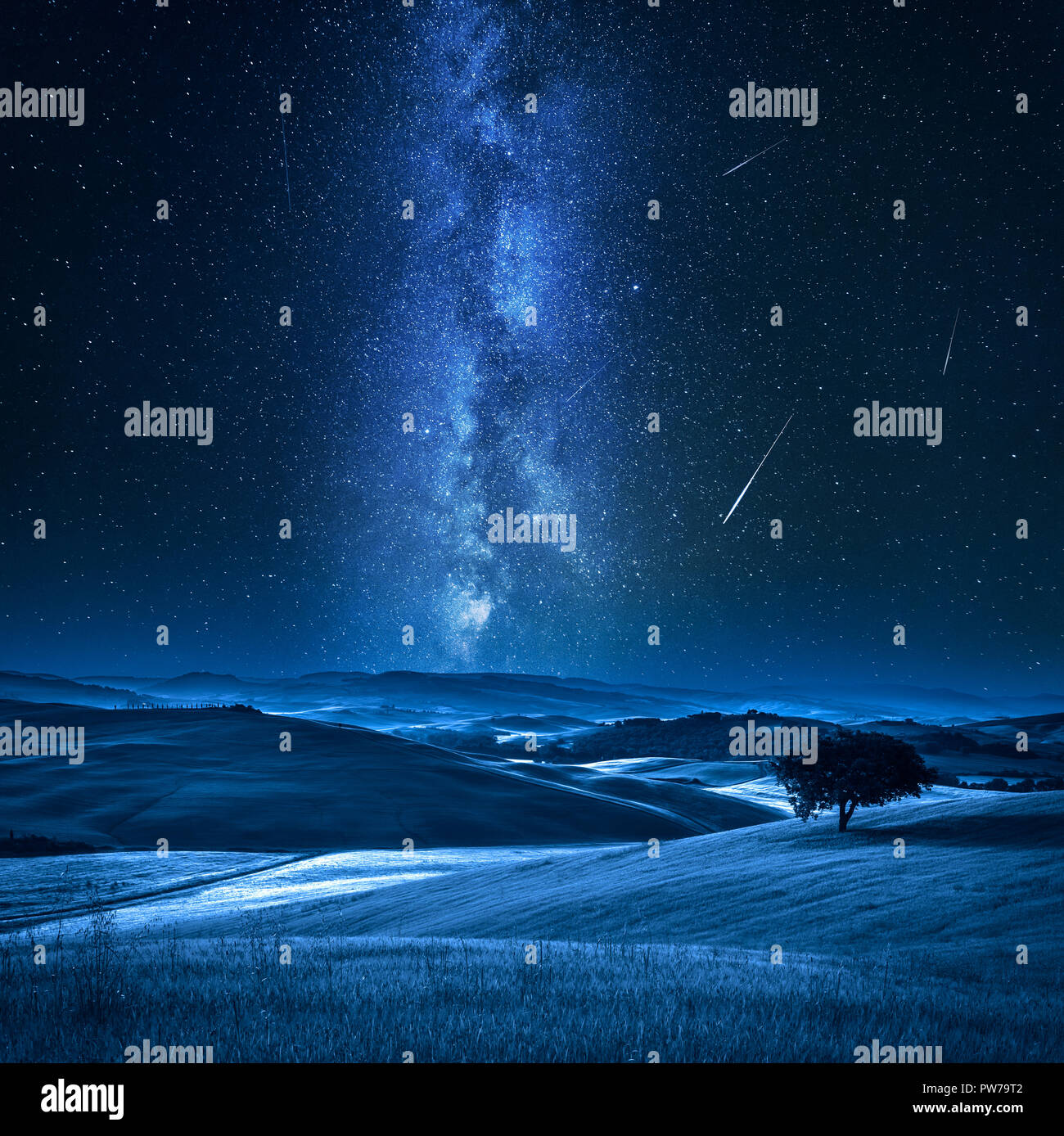 Tree on field with milky way and falling stars Stock Photo - Alamy
