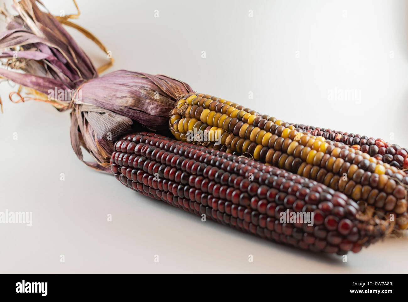Indian Corn Texture High Resolution Stock Photography and Images - Alamy