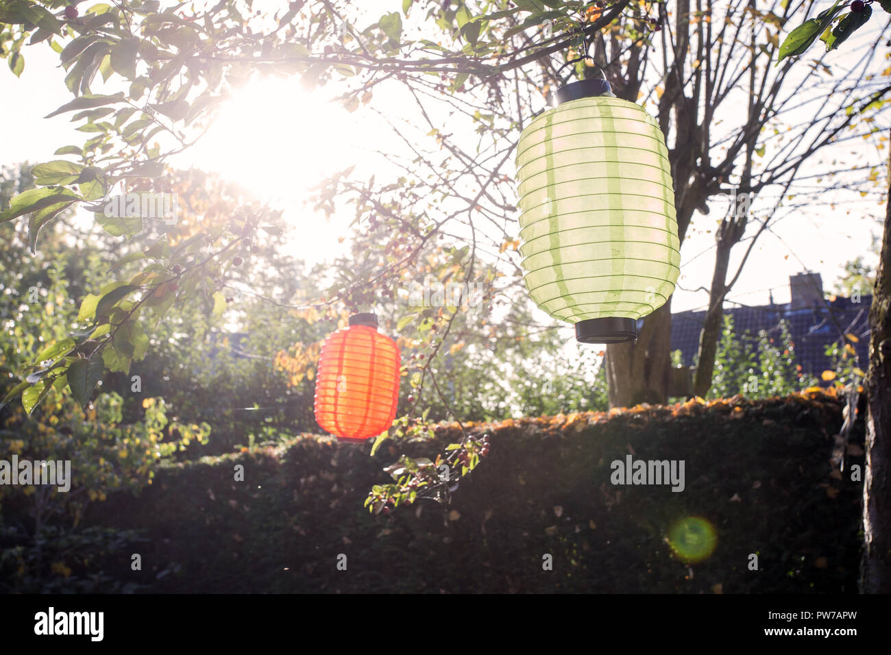 Paper lantern hanging on trees hi-res stock photography and images - Alamy