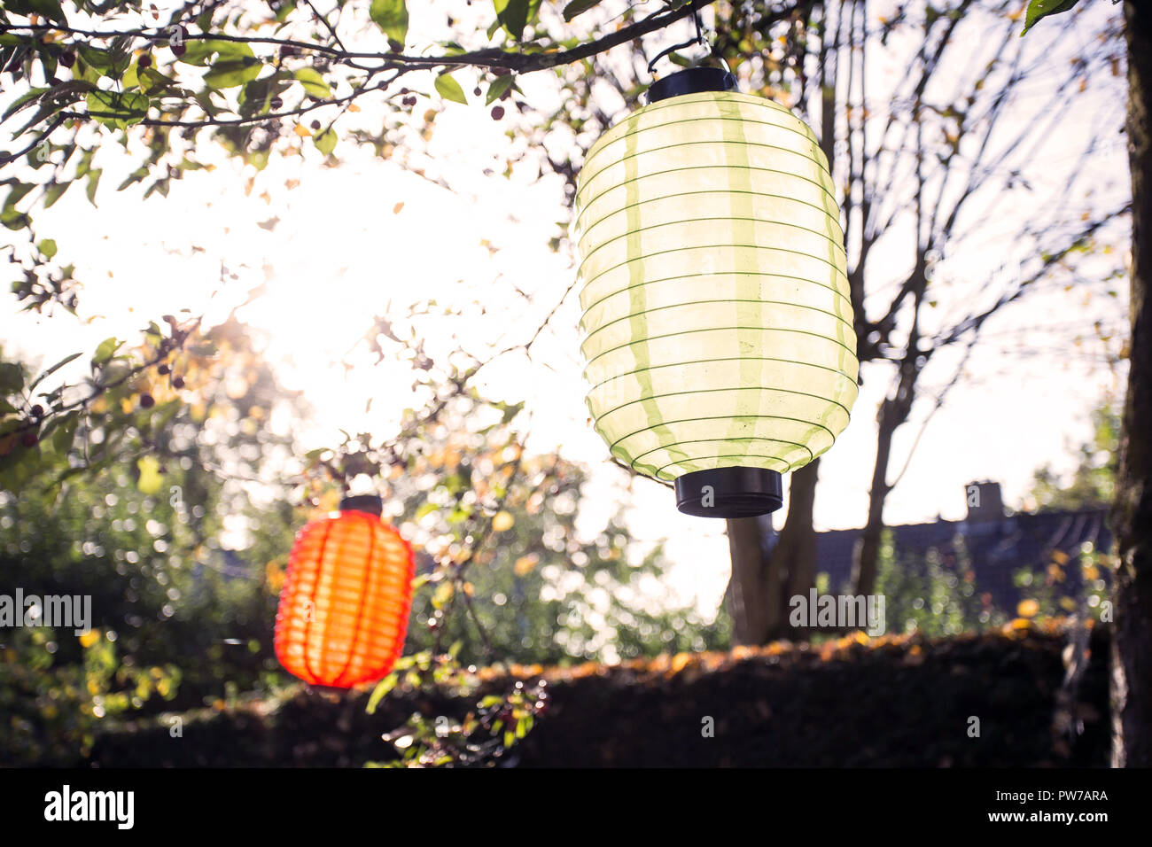 Paper lantern hanging on trees hi-res stock photography and images - Alamy