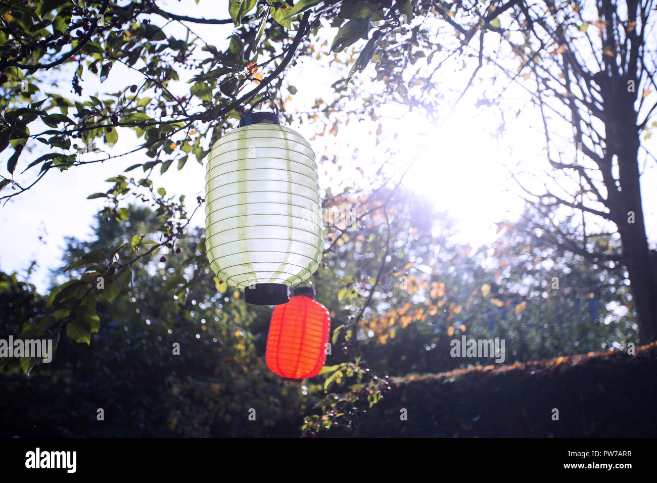 Paper lantern hanging on trees hi-res stock photography and images - Alamy