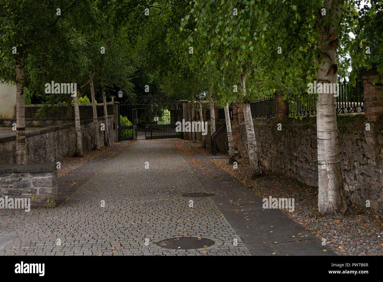 Foothpath and trees hi-res stock photography and images - Alamy