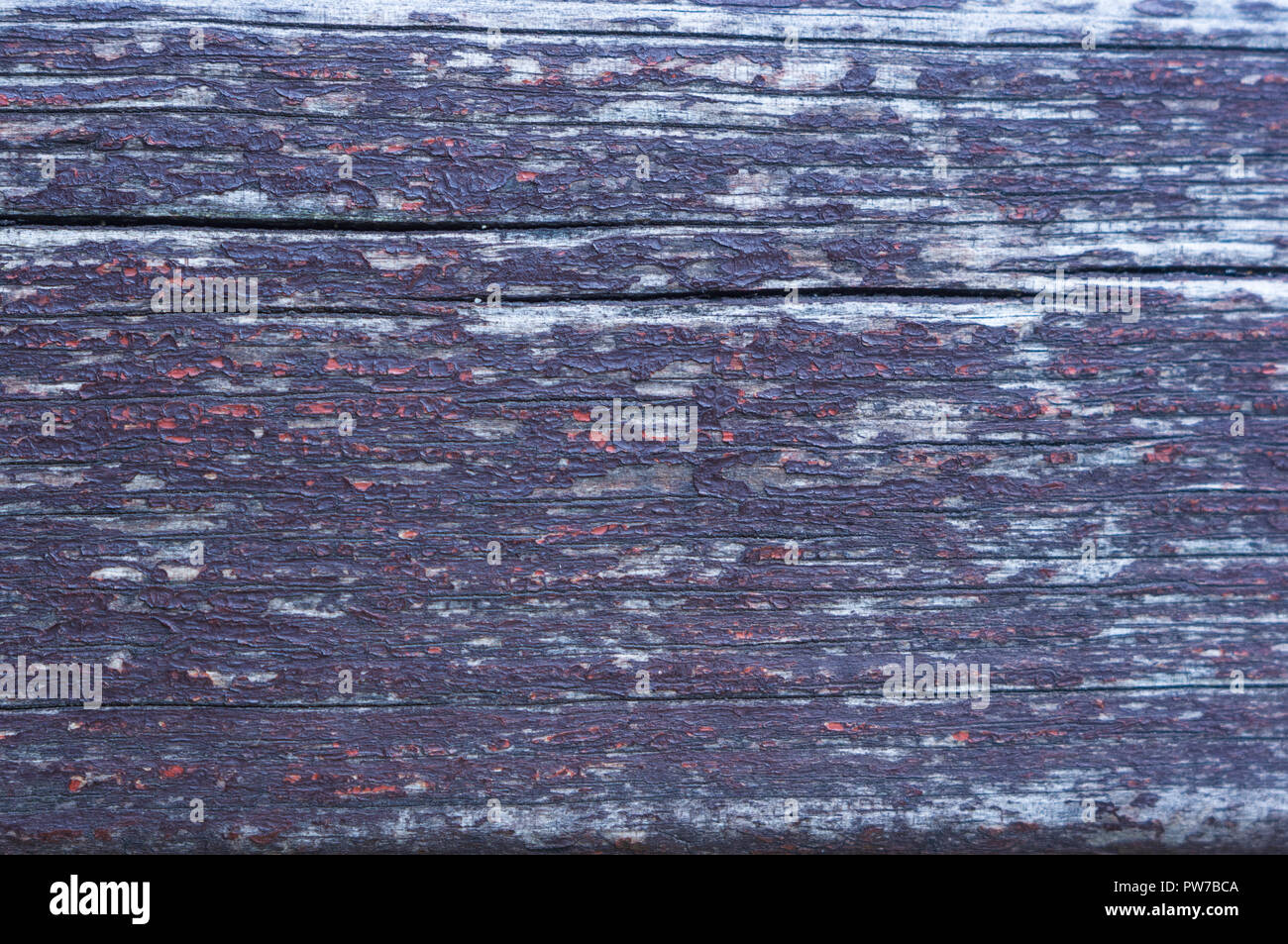 the texture of the painted shabby wooden benches made of boards, close ...