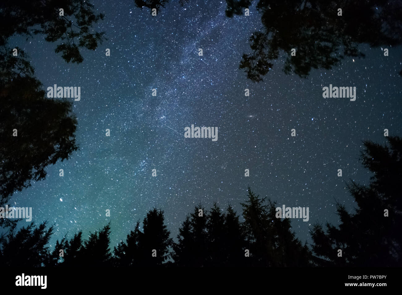Canopy of stars hi-res stock photography and images - Alamy