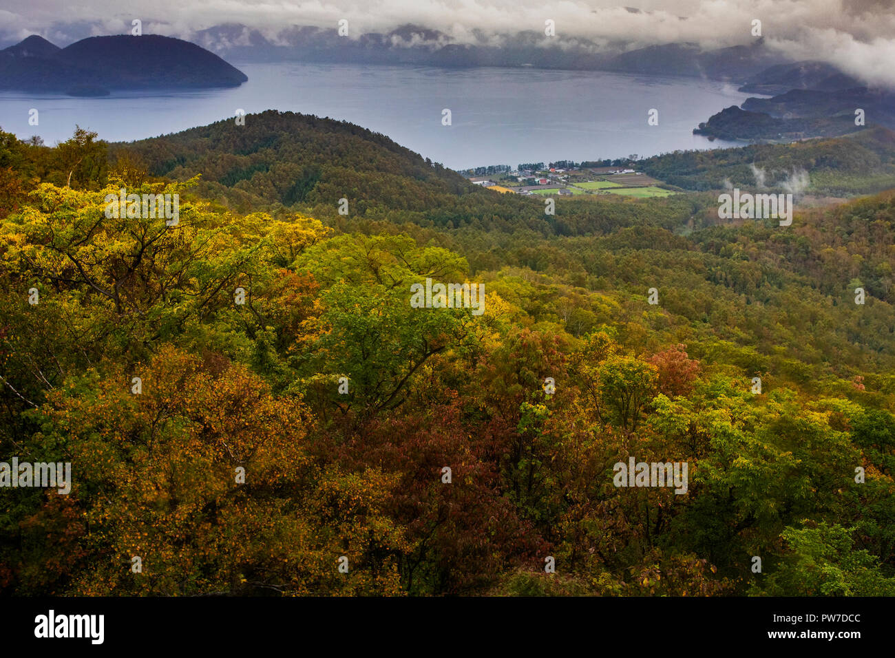 view of colorful tree leaves in color change season from usuzan ropeway ...