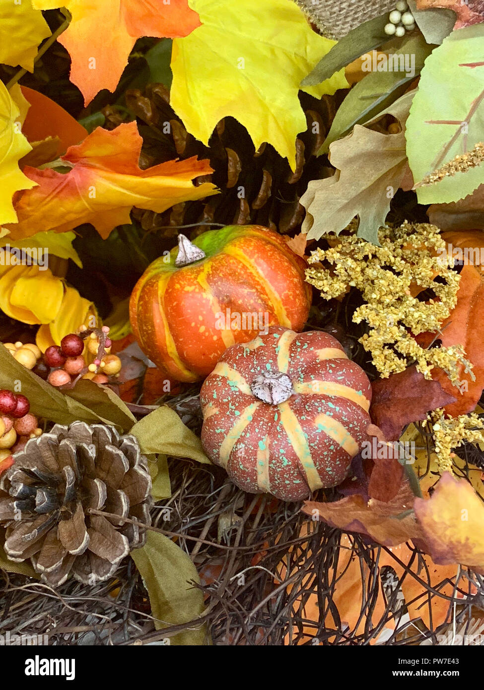 A composite of natural decorative elements depicting the autumn season ...