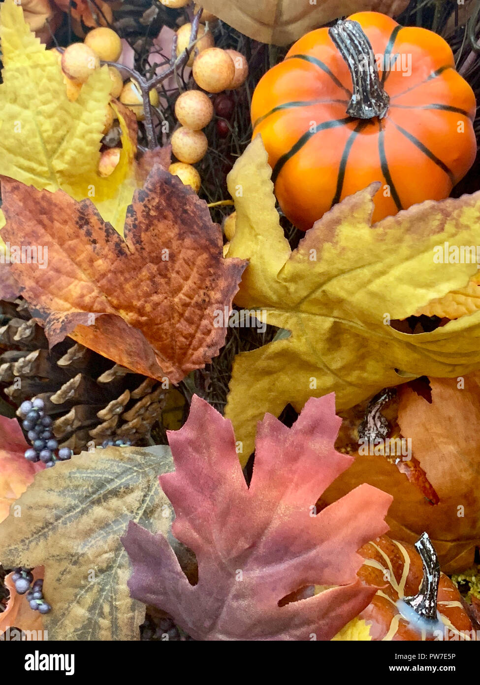 A composite of natural decorative elements depicting the autumn season ...