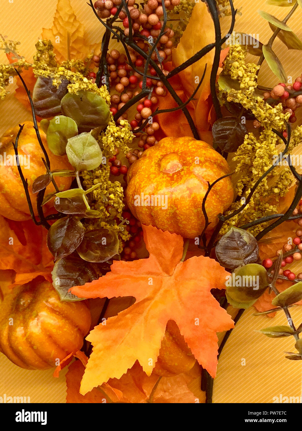 A composite of natural decorative elements depicting the autumn season ...