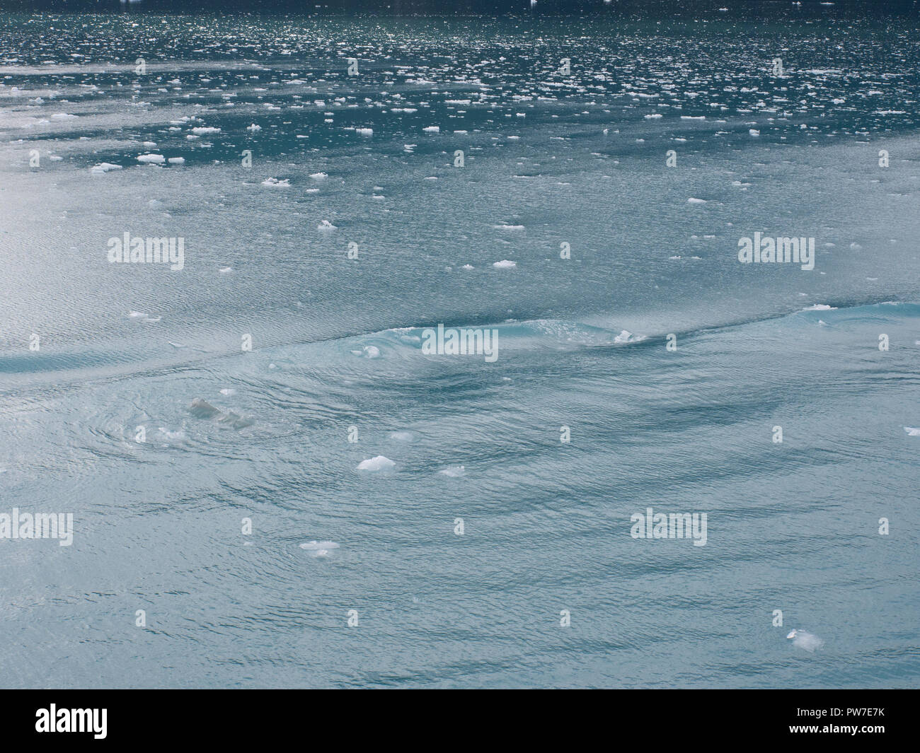 Ice floating in the ocean hi-res stock photography and images - Alamy