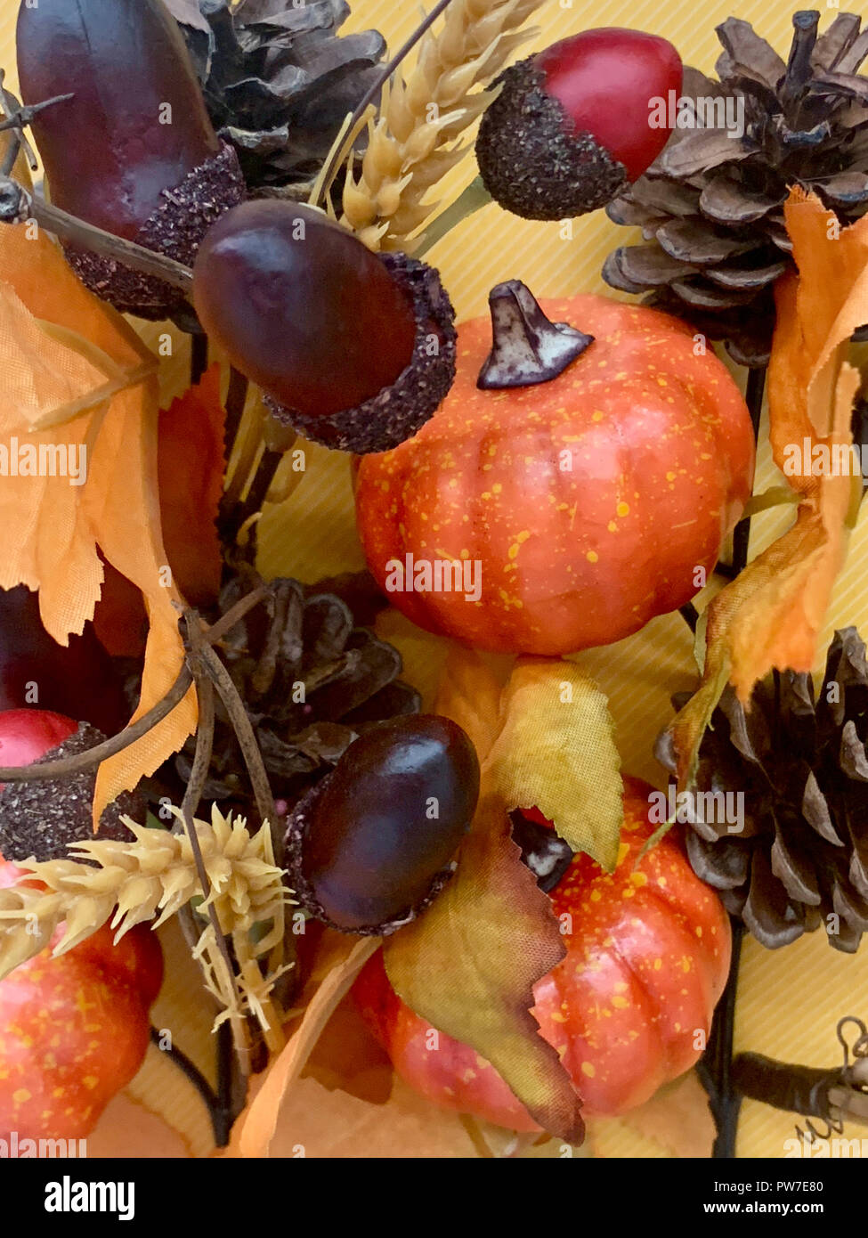 A composite of natural decorative elements depicting the autumn season ...