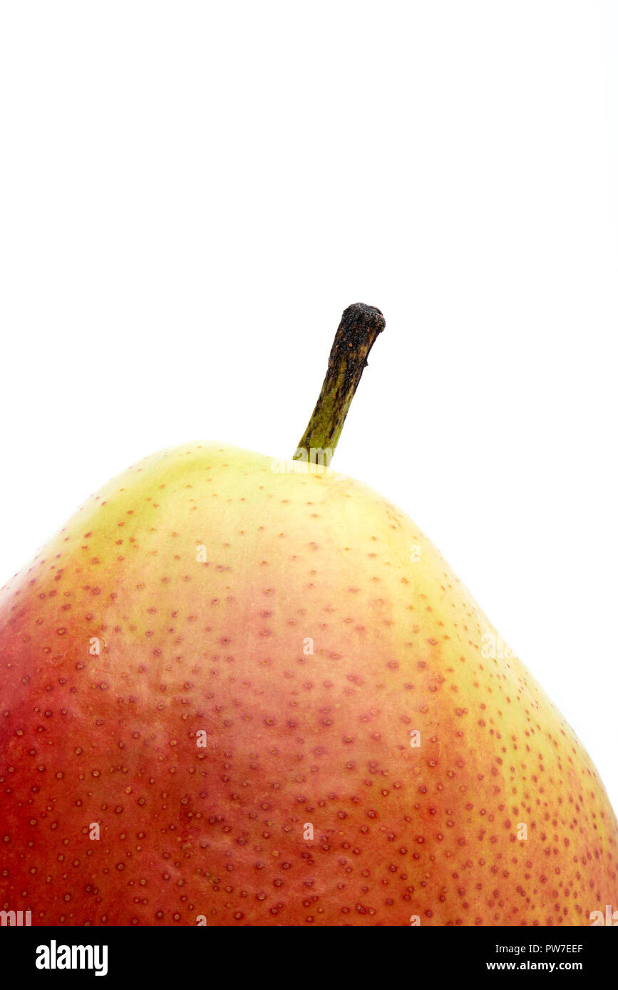 Closeup of a Corella pear isolated against a white background Stock ...