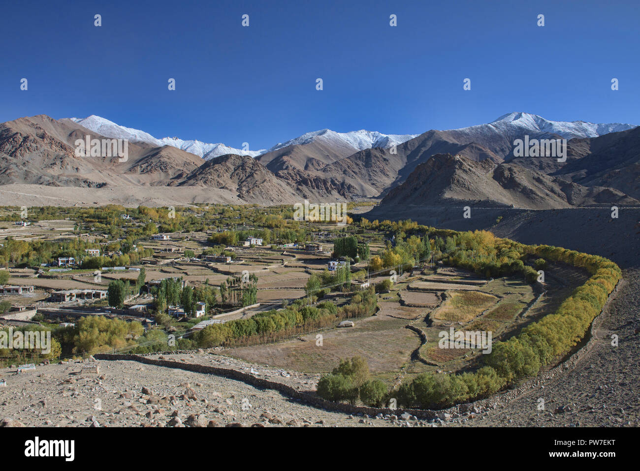 Autumn colors in the upper Leh Valley, Ladakh, India Stock Photo - Alamy