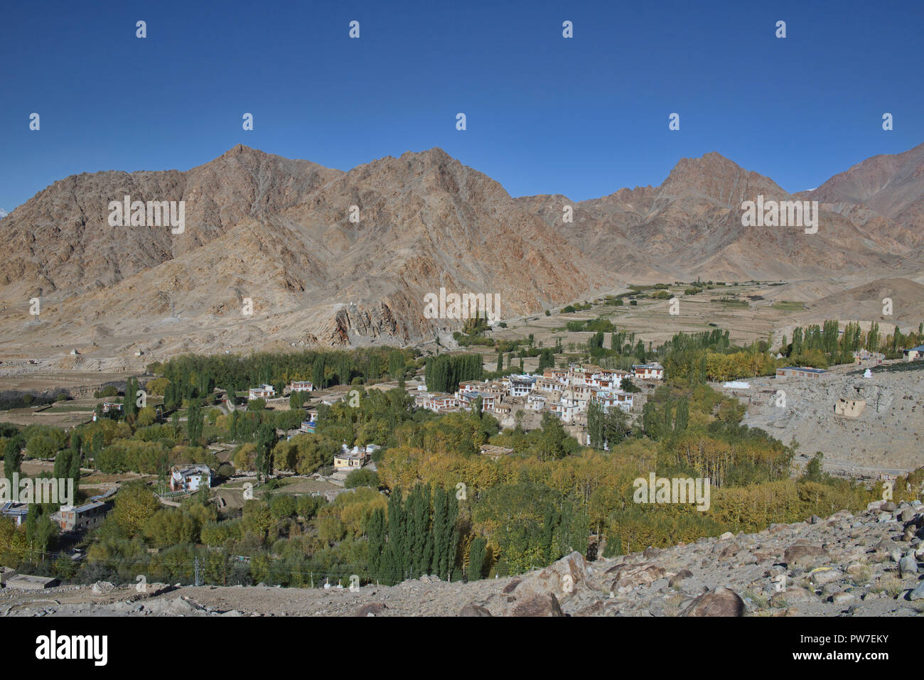 Autumn colors in the upper Leh Valley, Ladakh, India Stock Photo - Alamy