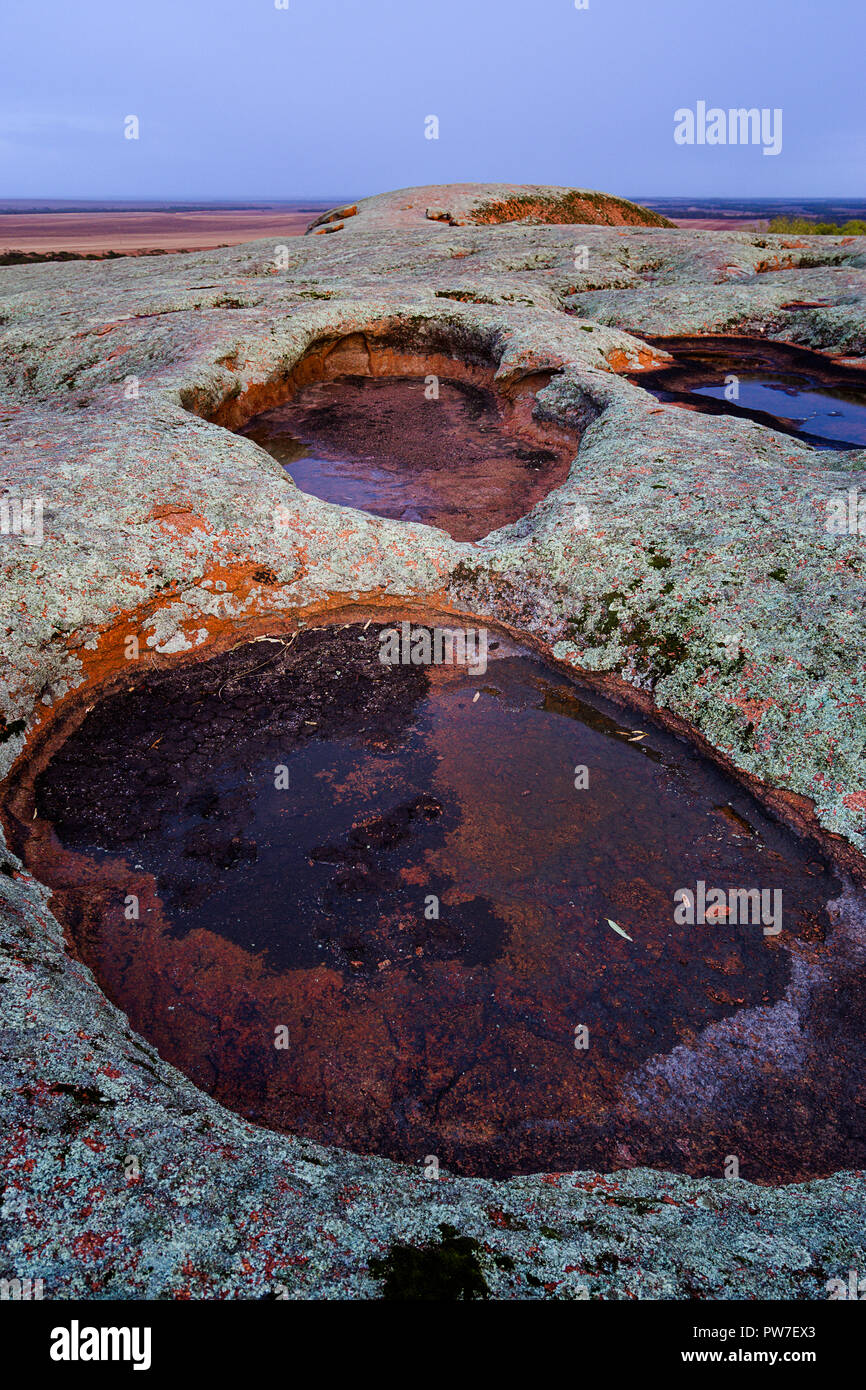 Shallow rock pools aka as gnamma holes by the aboriginals filled with ...