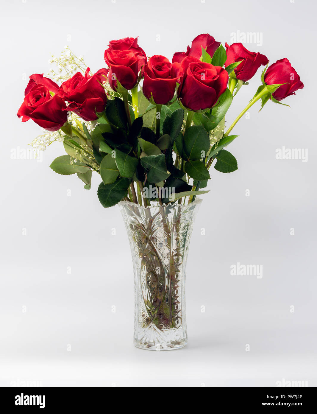 Bouquet of red roses in the crystal vase, isolated on light background ...
