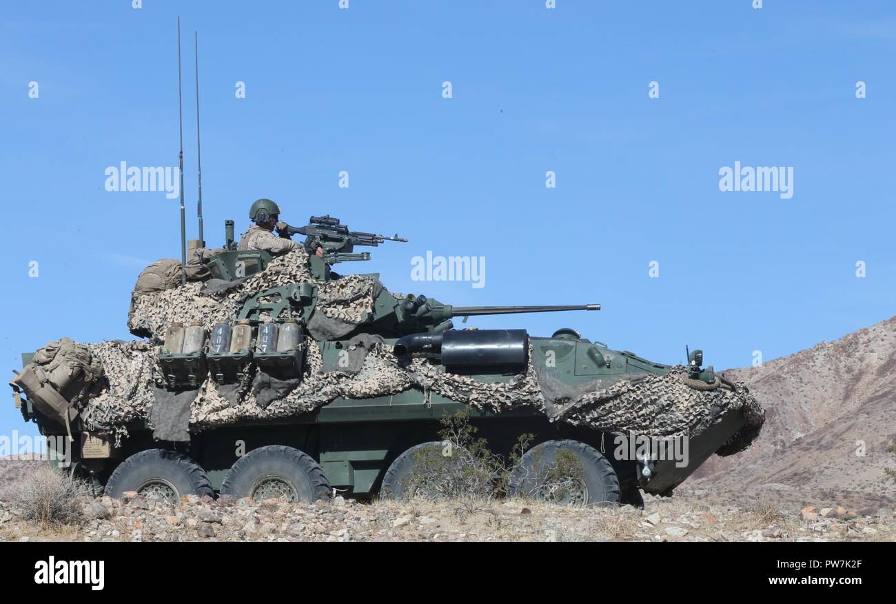 A U.S. Marine with 3rd Light Armored Reconnaissance Battalion, 1st ...