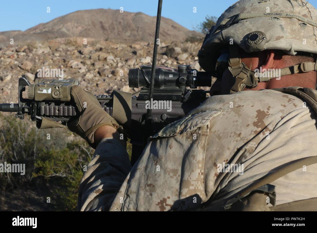 3rd light armored reconnaissance battalion wolfpack hi-res stock ...