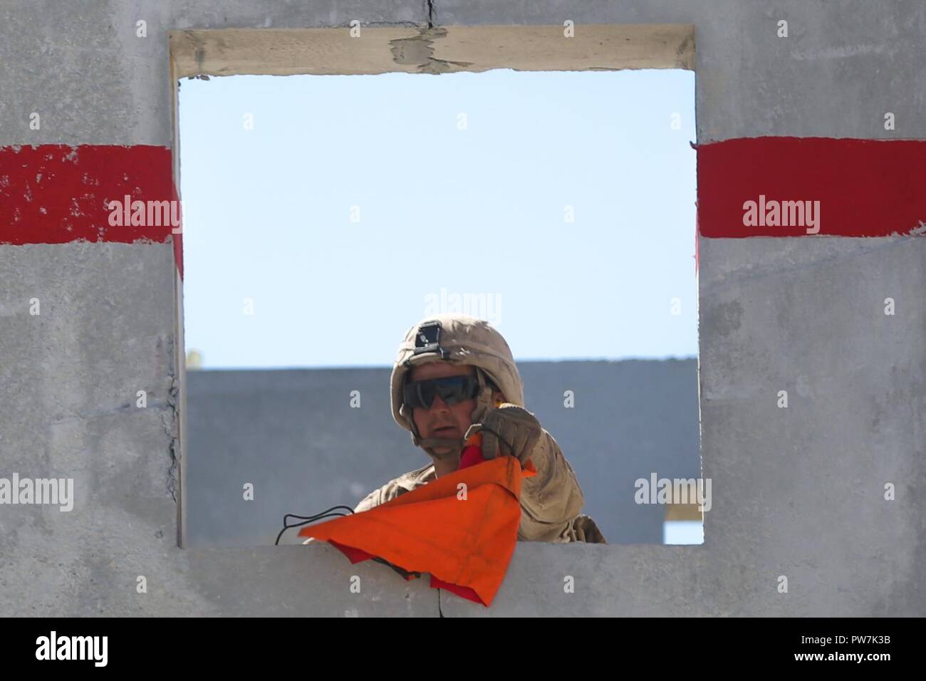 3rd light armored reconnaissance battalion wolfpack hi-res stock ...