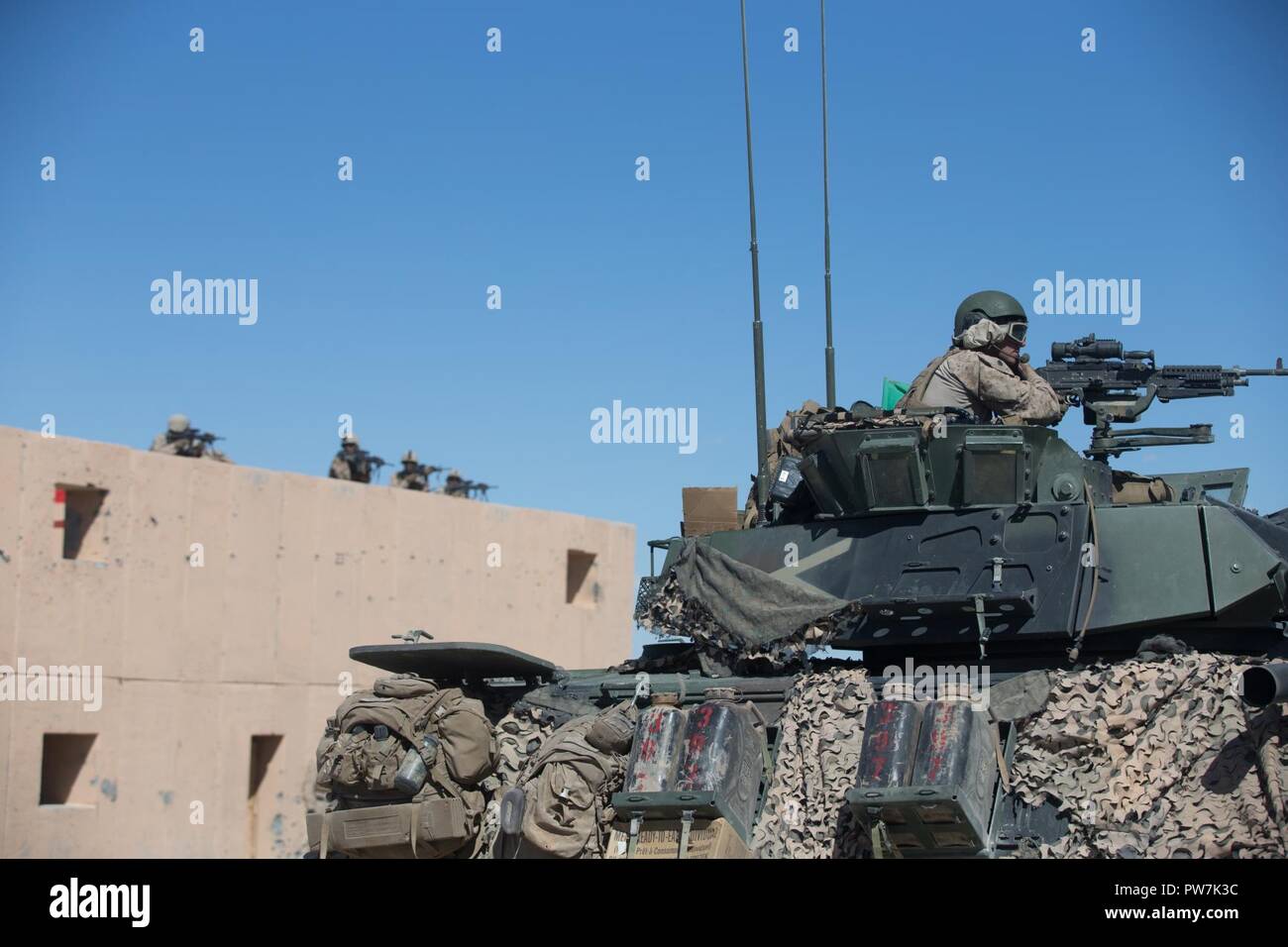 3rd light armored reconnaissance battalion wolfpack hi-res stock ...