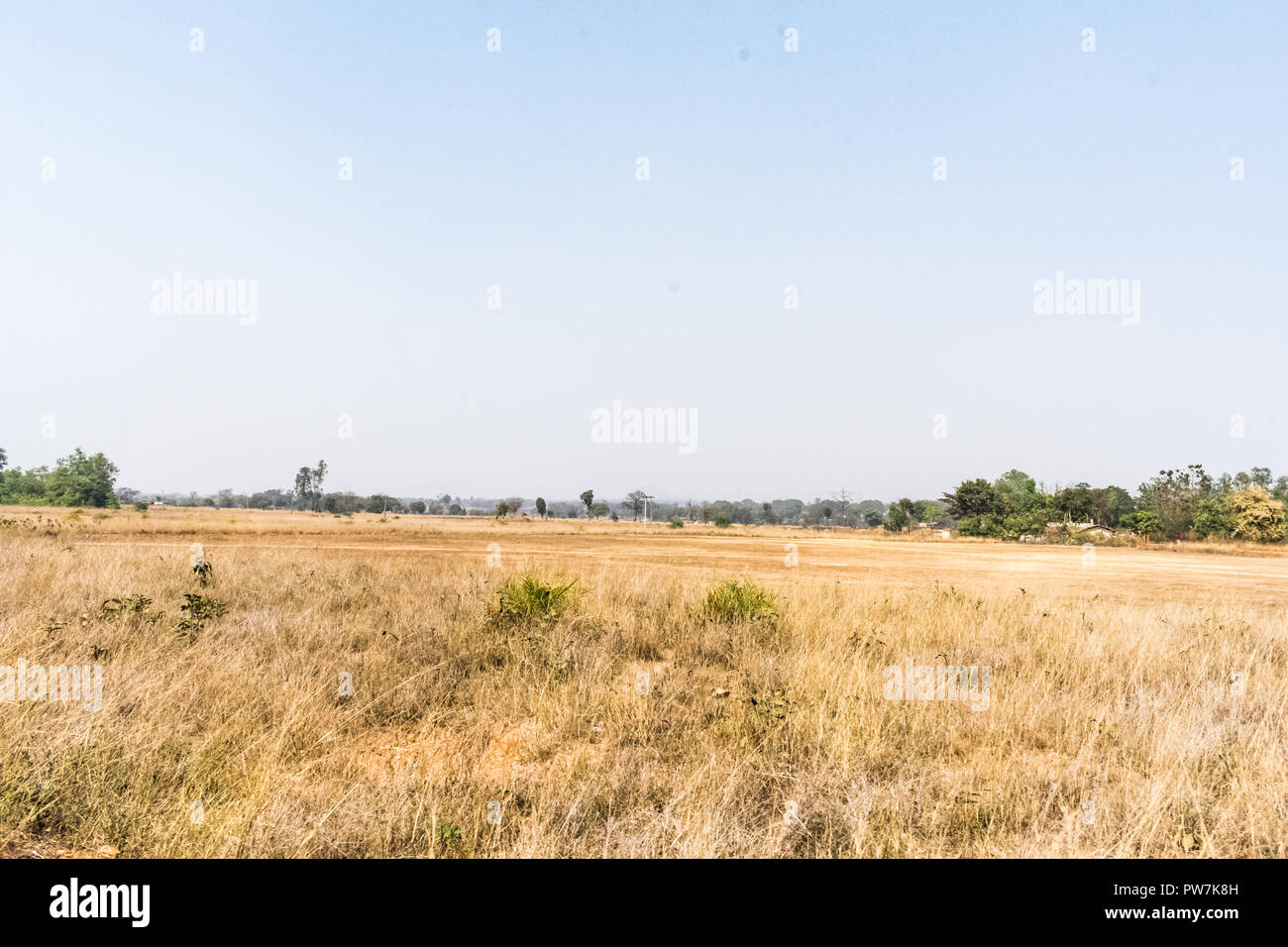 Dry paddy field hi-res stock photography and images - Alamy