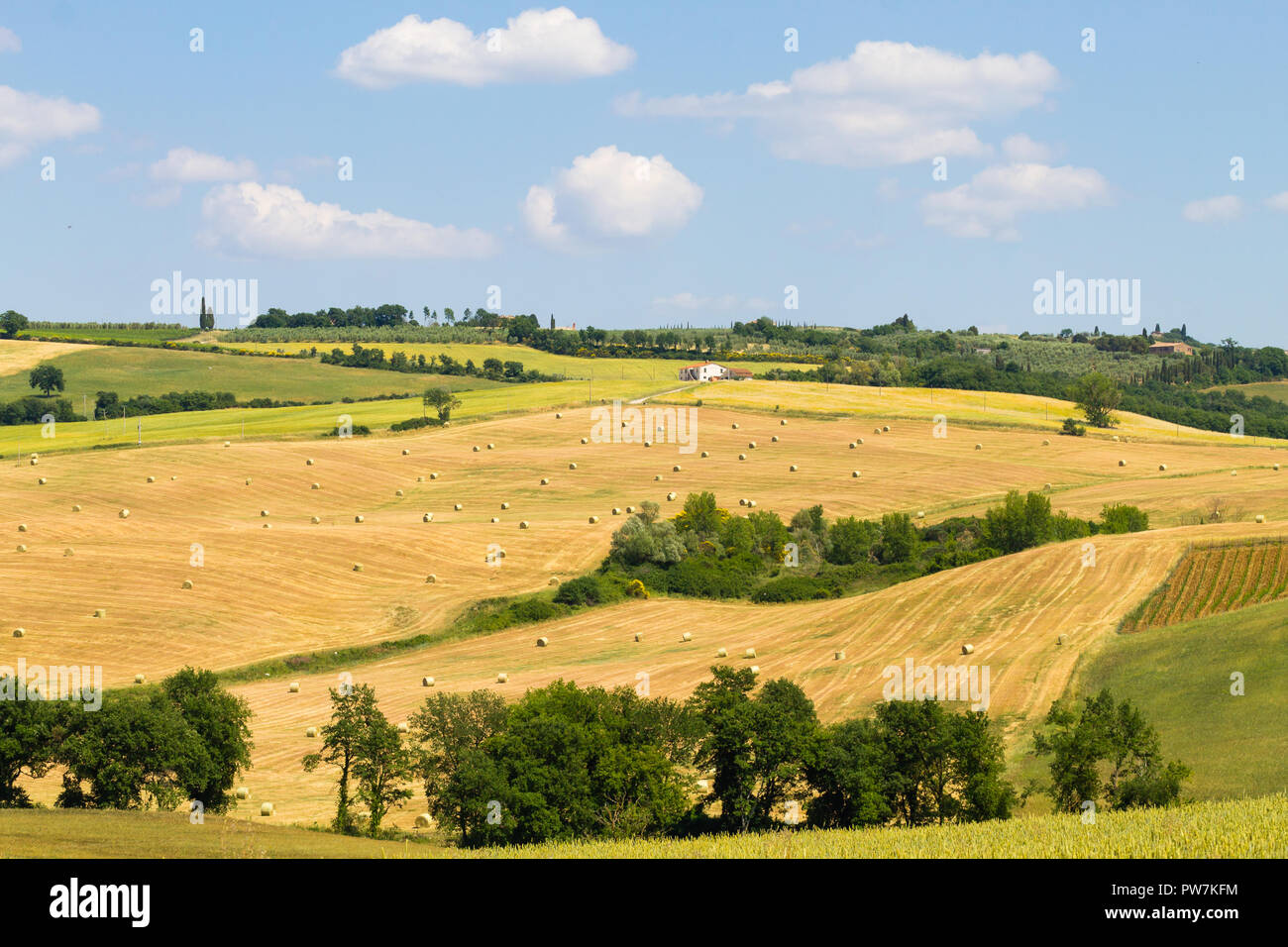 Tuscany hills landscape, Italy. Rural italian panorama Stock Photo - Alamy