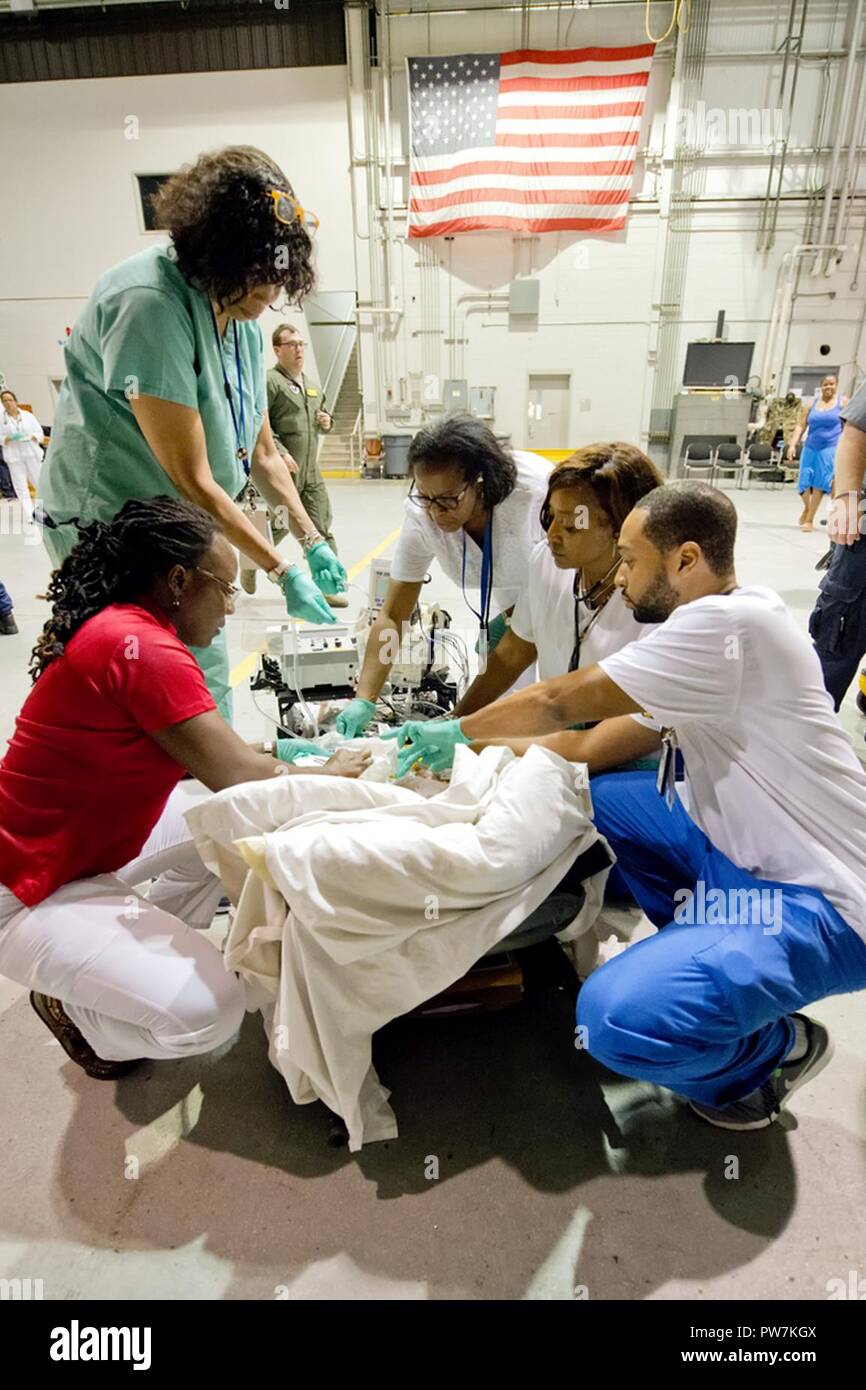 Ndms hi-res stock photography and images - Alamy